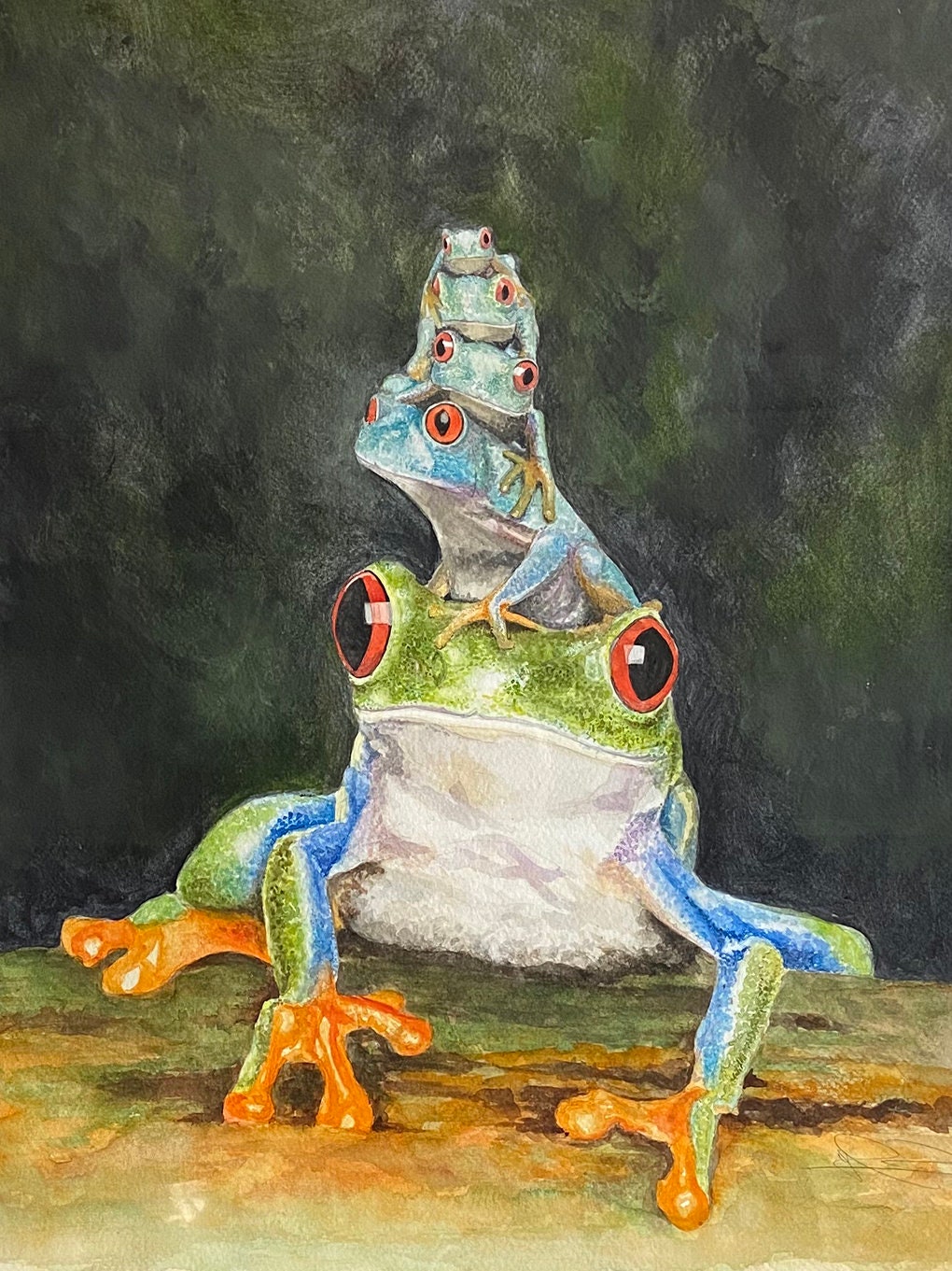 A fun tree frog jigsaw puzzle 500 pice jigsaws, 1000 piece jigsaws ...