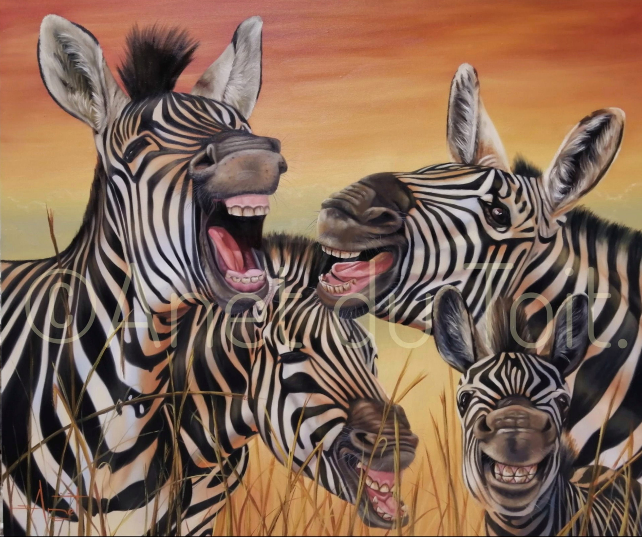 A Beautiful 500 Piece Zebra Jigsaw Puzzle Available in 500 Pieces, 1000 ...
