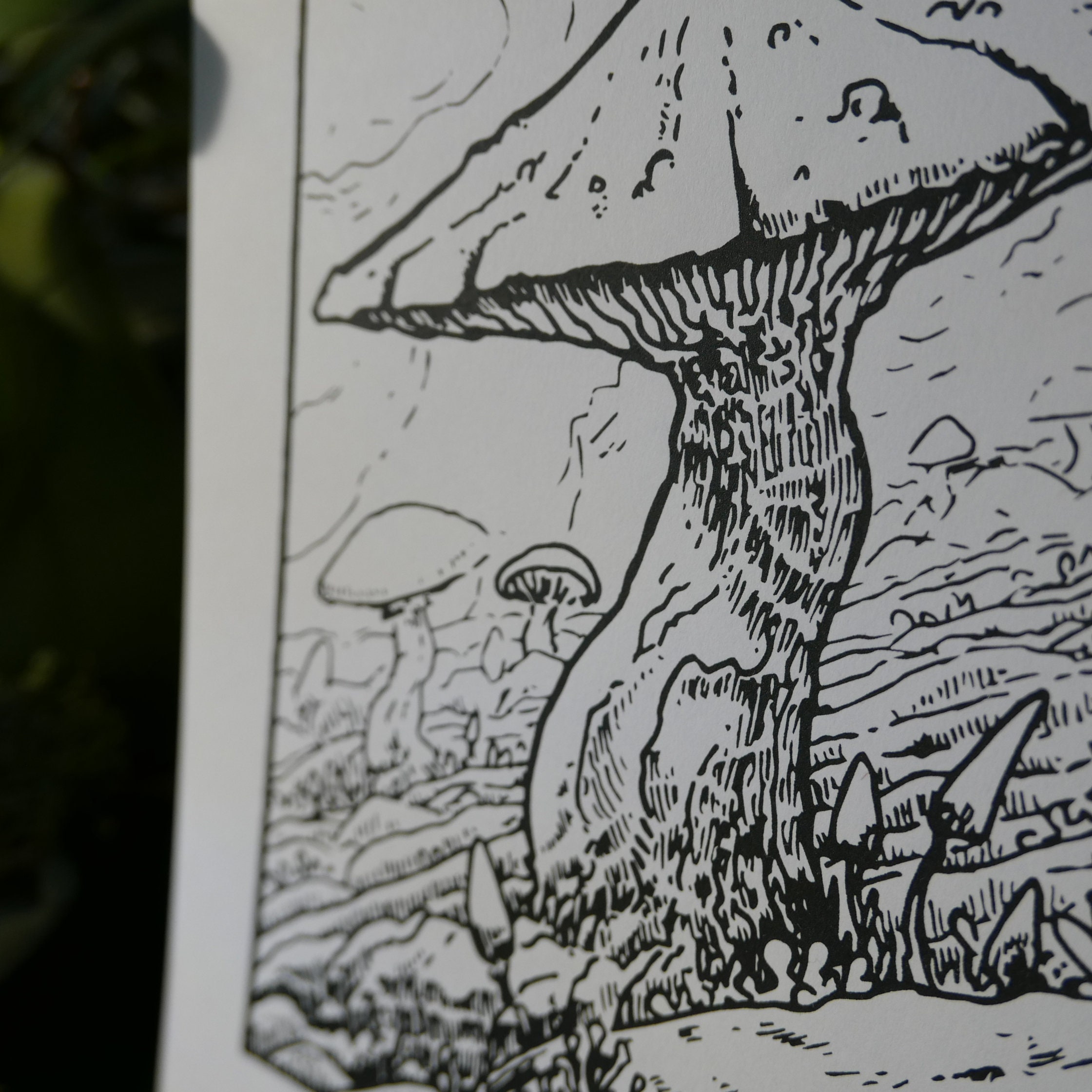 Mushroom Screenprint - Mushroom Art Print on Card - Etsy