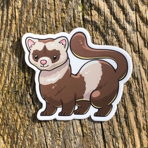 Ferret Sticker, Cute Stickers for Kids Water Bottles, Fun Stickers for ...