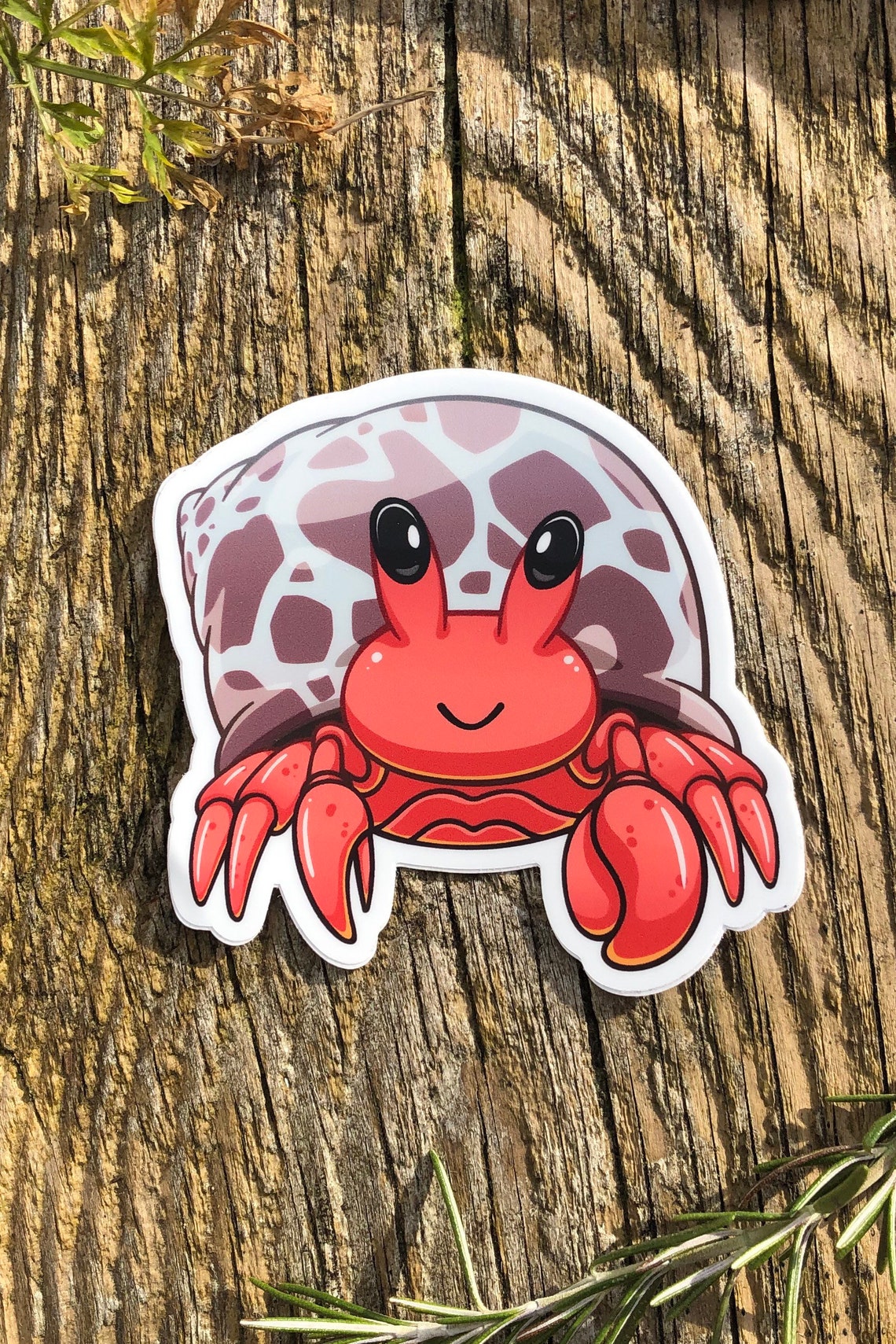 Hermit Crab Sticker | Cute Cartoon Animal Stickers | Waterproof, Vinyl ...