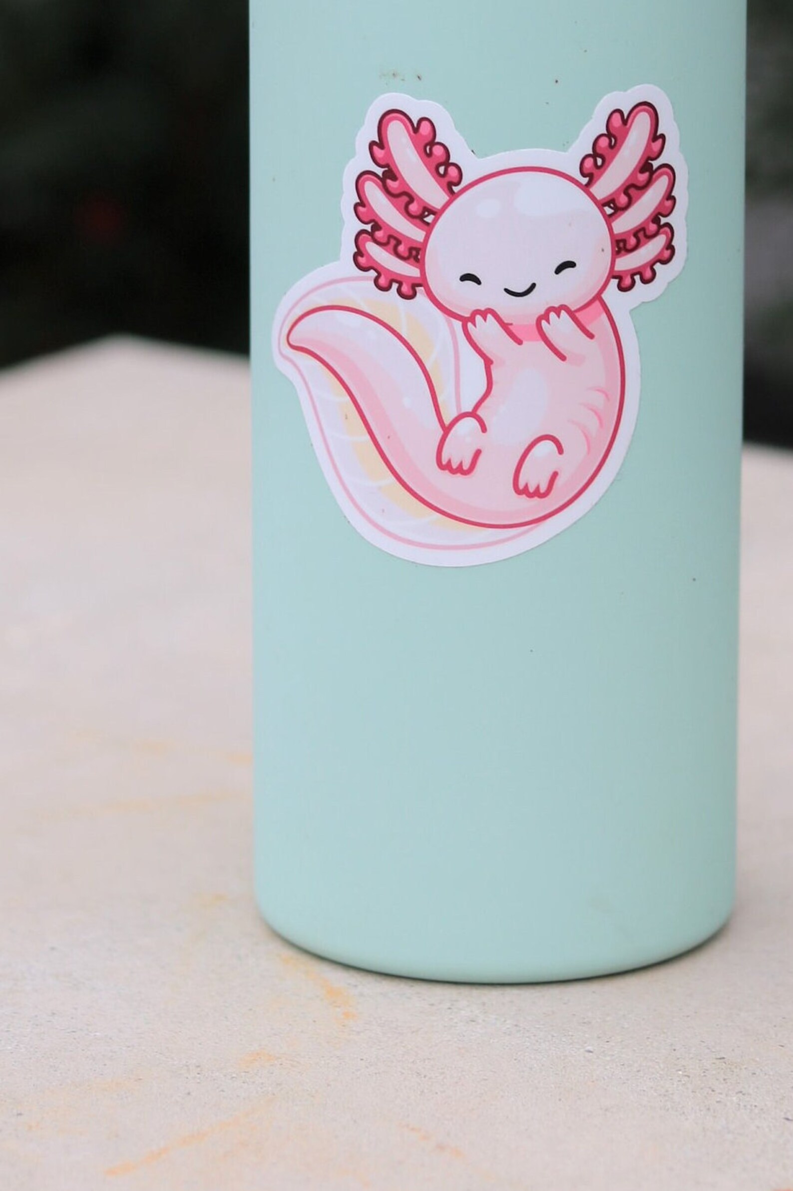 Axolotl Sticker Cute Cartoon Pet Animal Stickers for Boys - Etsy