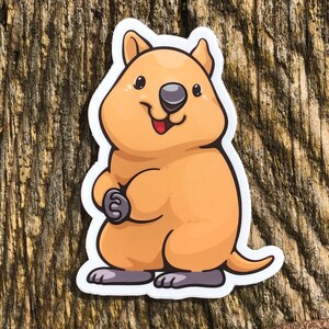 Quokka Sticker, Cute Waterproof Animal Sticker, Fun Gift Ideas for Kids ...