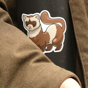 Ferret Sticker, Cute Stickers for Kids Water Bottles, Fun Stickers for ...