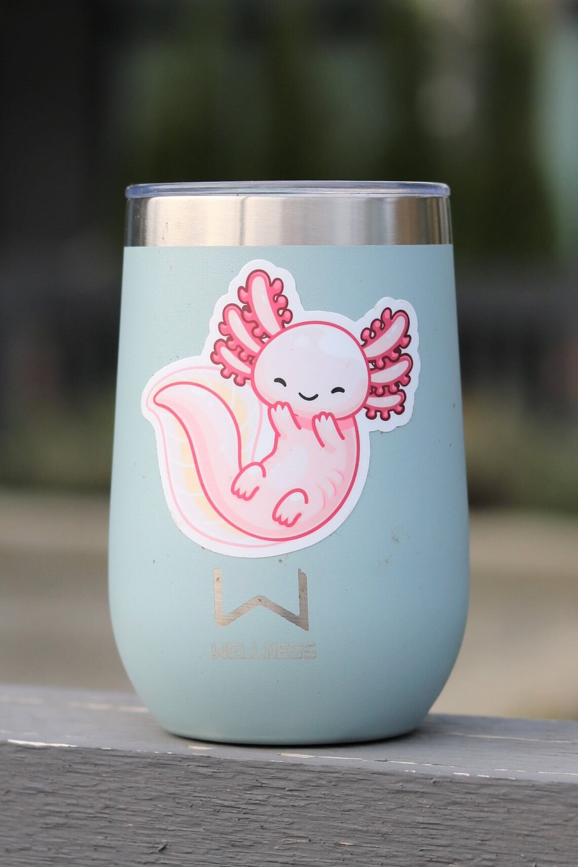 Axolotl Sticker Cute Cartoon Pet Animal Stickers for Boys - Etsy