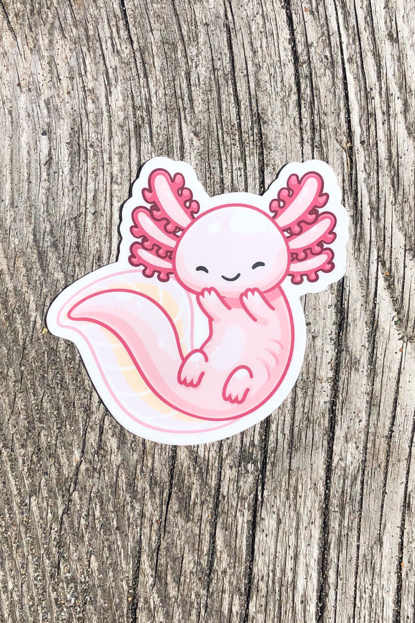 Axolotl Sticker Cute Cartoon Pet Animal Stickers for Boys - Etsy