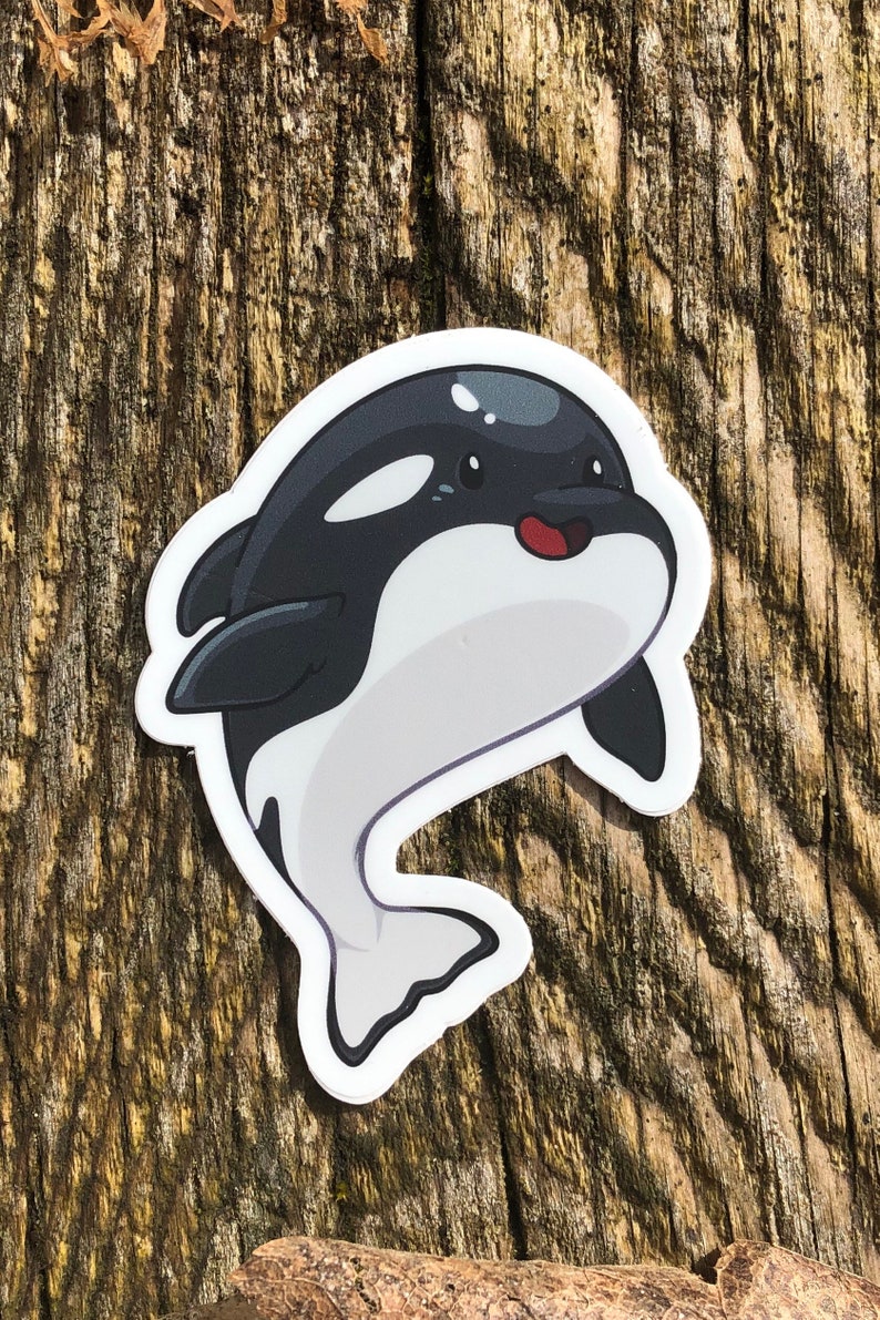 Orca Whale Sticker, Killer Whale Sticker, Fun Animal Sticker Kids, Cute ...