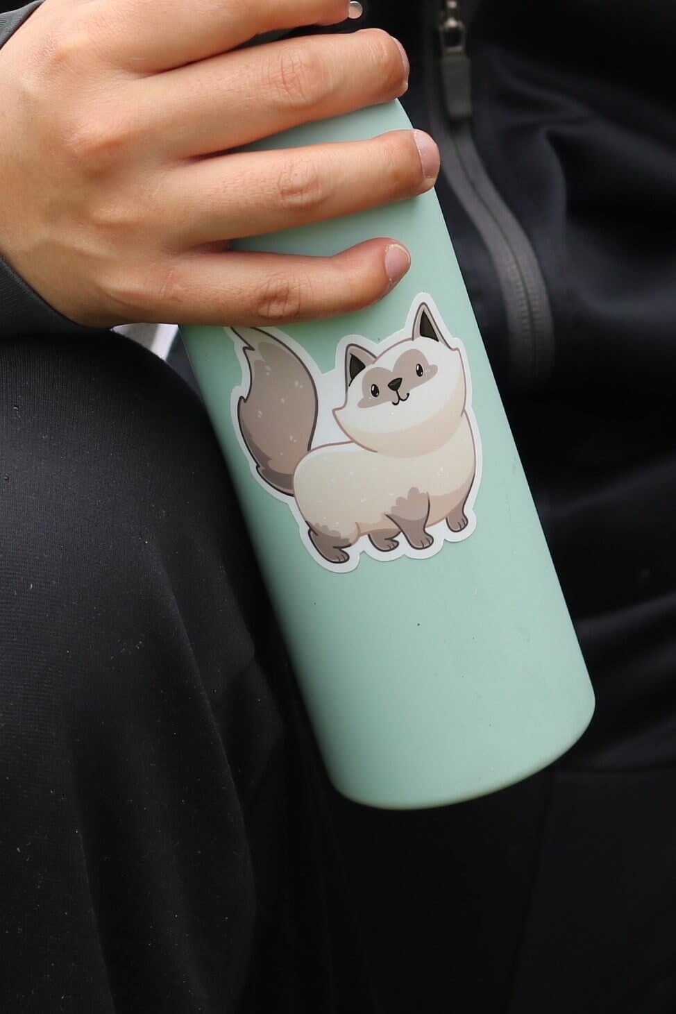 Cute Ragdoll Cat Stickers Animal Sticker Waterproof Vinyl - Etsy