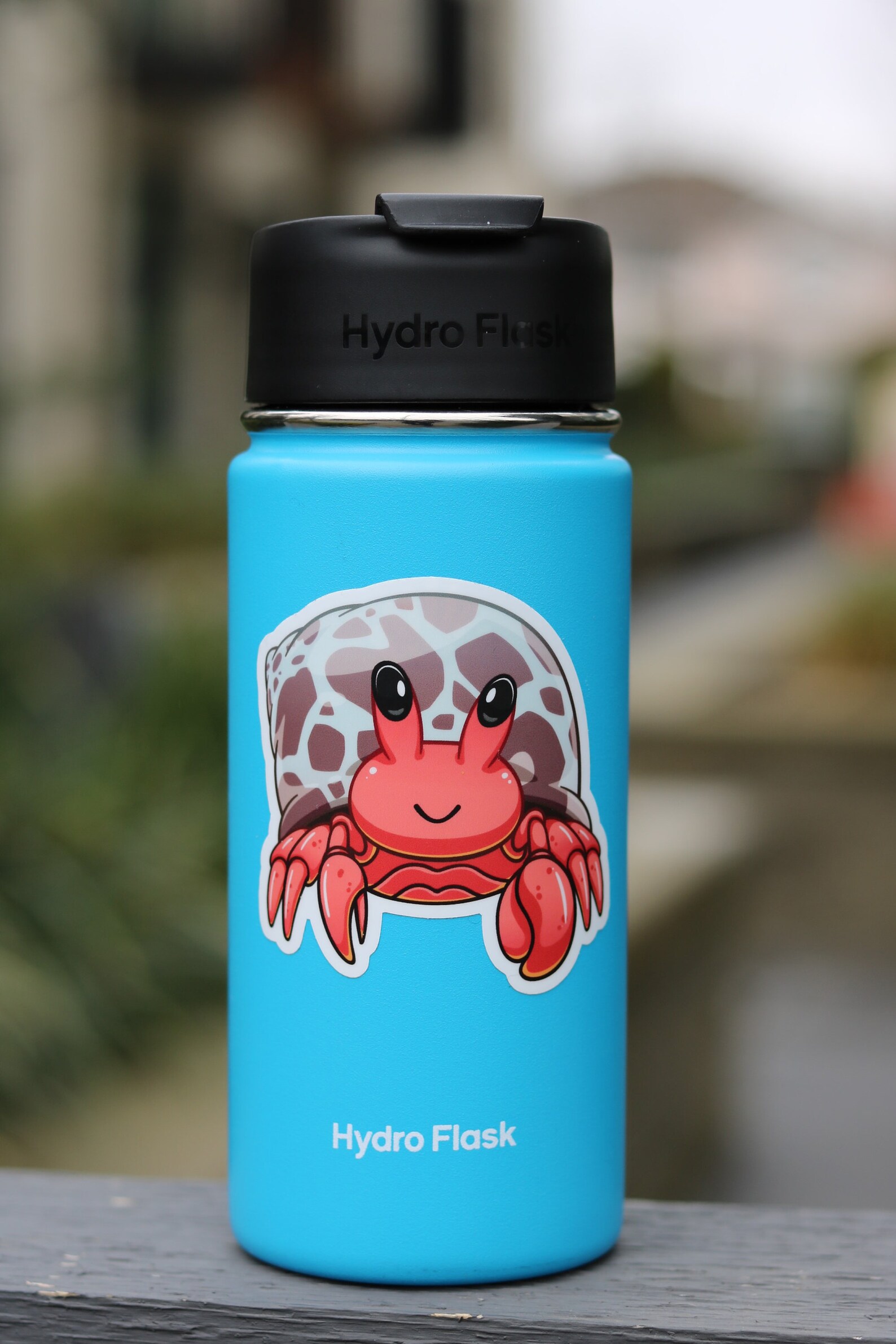 Hermit Crab Sticker | Cute Cartoon Animal Stickers | Waterproof, Vinyl ...