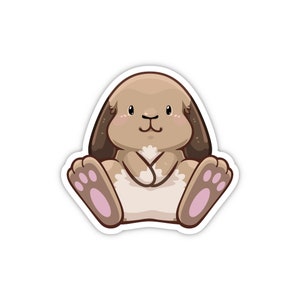 Brown Rabbit Sticker | Cute Bunny Hare Decal for Kids, Boys, Girls ...