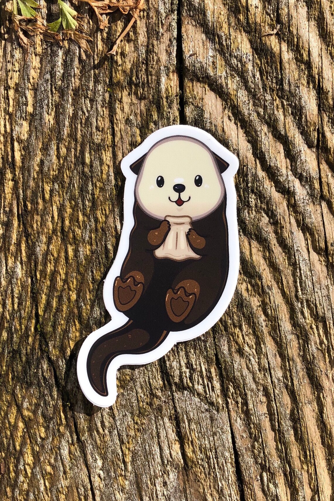 Sea Otter Sticker Cute Wild Animal Stickers Waterproof - Etsy