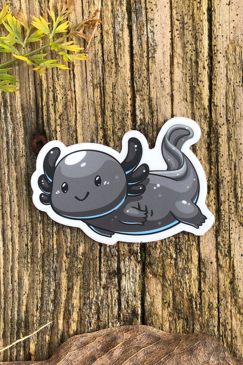 Black Axolotl Stickers | Cute Animal Decal for Boys, Girls, Kids ...