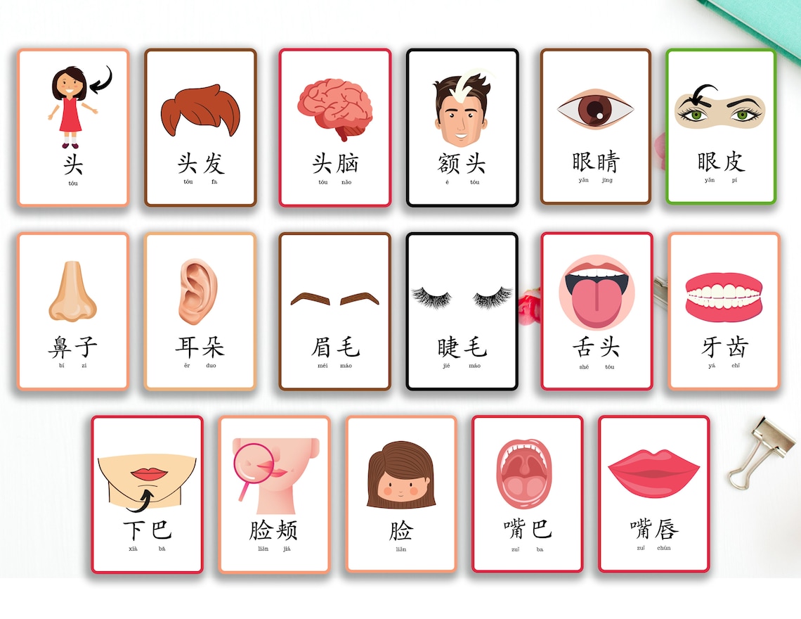 Body Parts Chinese Flash Cards Printable Mandarin Head Flash Cards ...