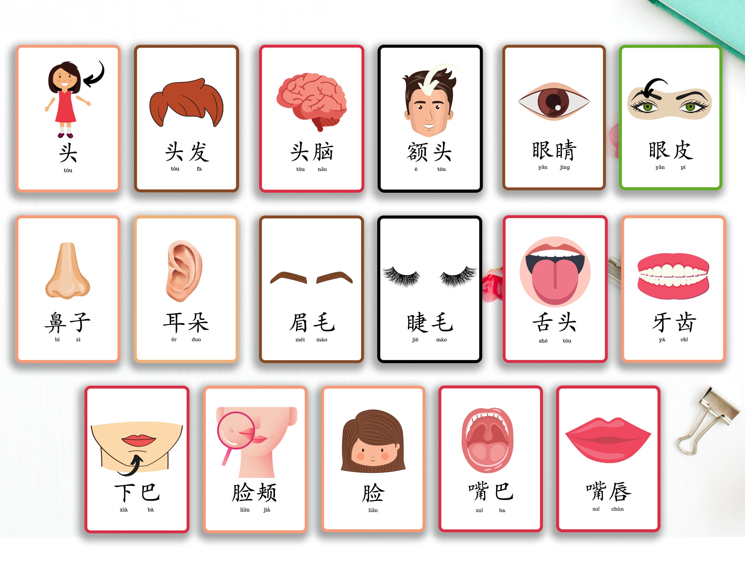 Body Parts Chinese Flash Cards | Printable Mandarin Head Flash Cards ...
