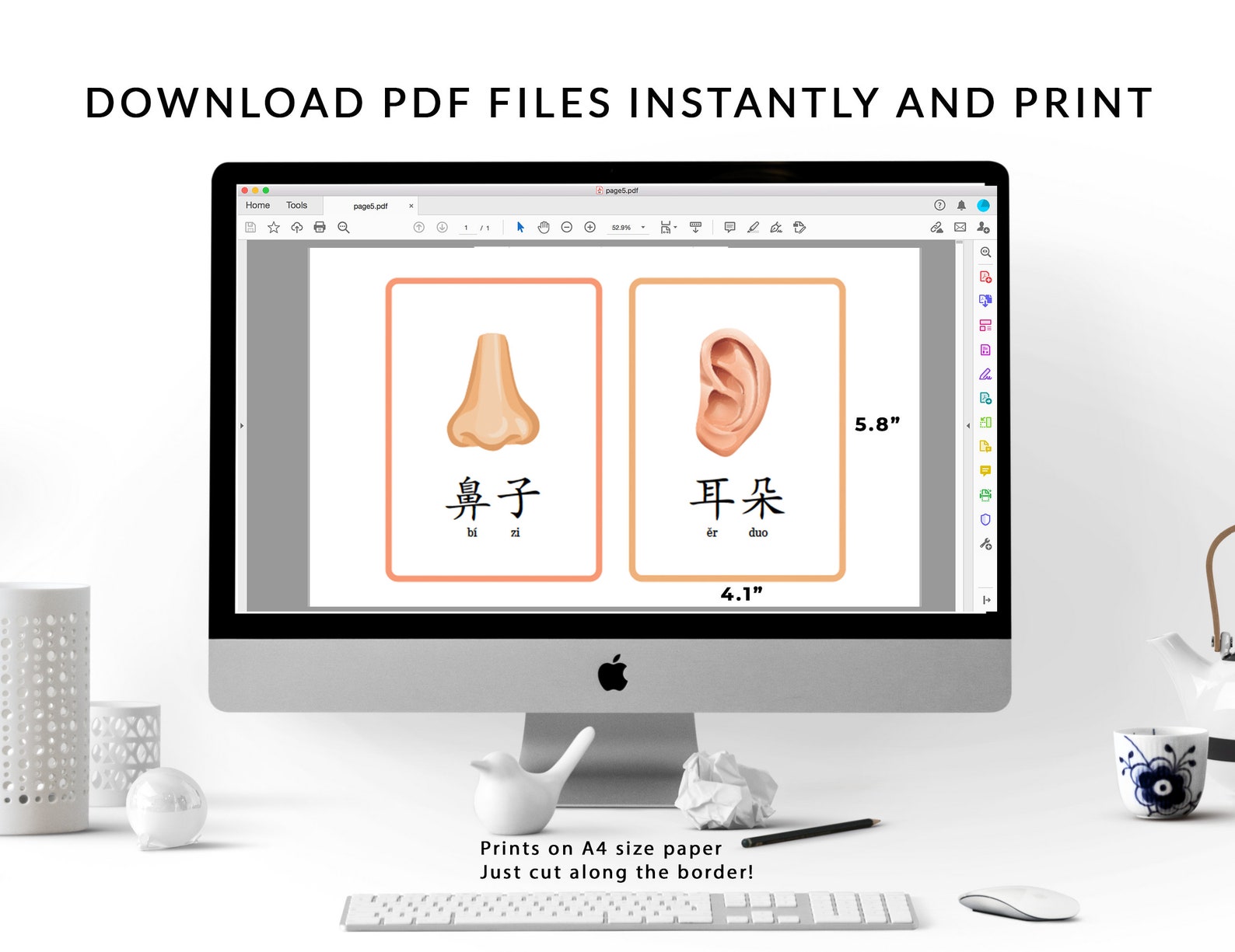 Body Parts Chinese Flash Cards Printable Mandarin Head Flash Cards ...