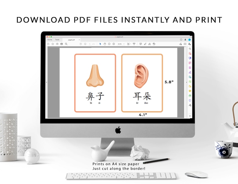 Body Parts Chinese Flash Cards Printable Mandarin Head Flash Cards ...
