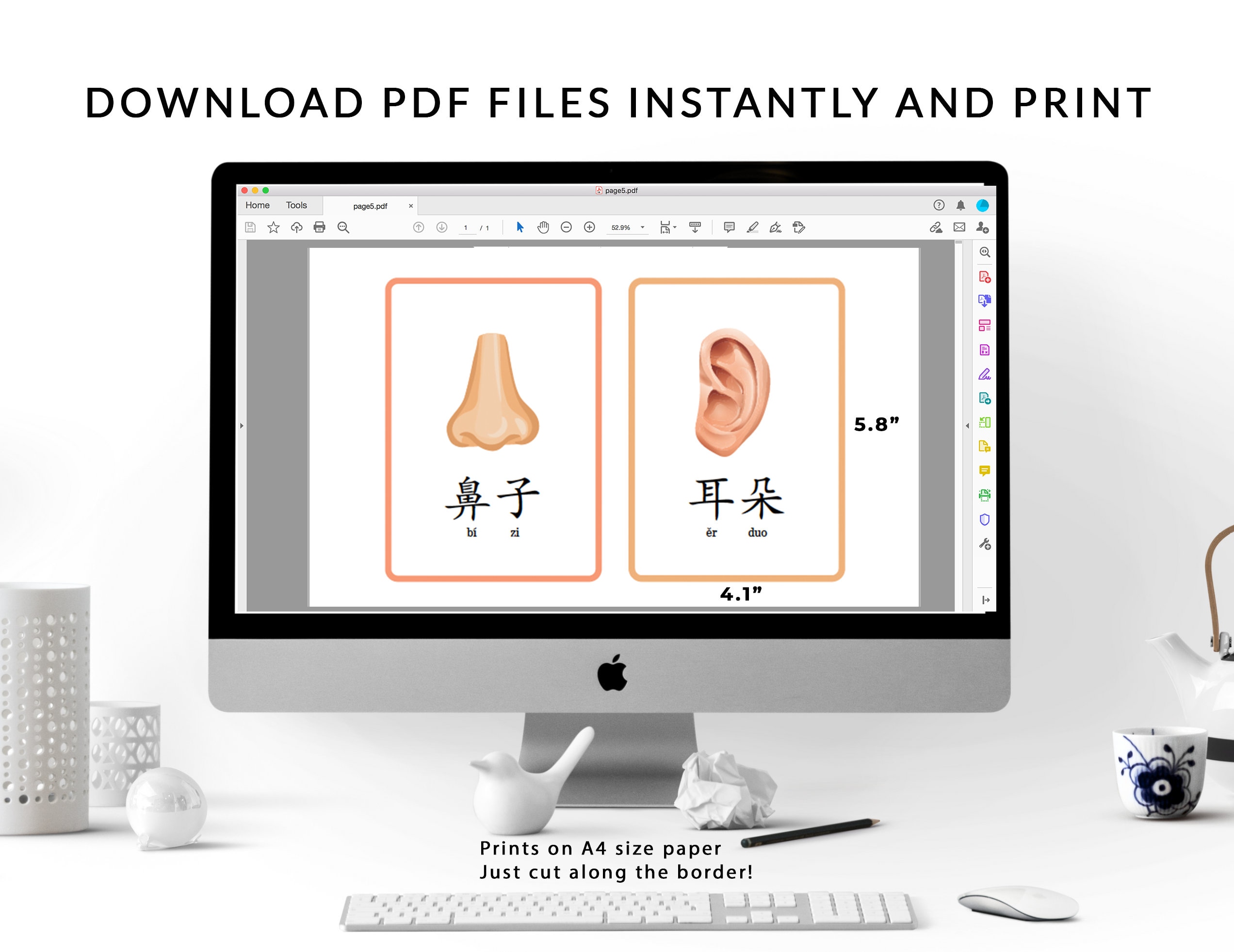Body Parts Chinese Flash Cards | Printable Mandarin Head Flash Cards ...