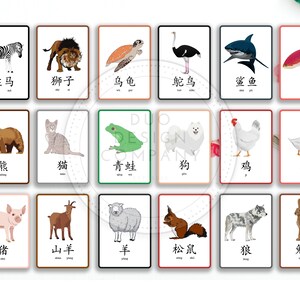 Chinese Animals Flashcards | Printable Simplified Mandarin Animal ...