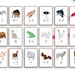 Chinese Animals Flashcards Printable Simplified Mandarin Animal ...