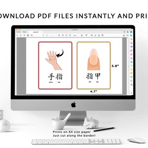 Chinese Upper Body Flash Cards | Printable Mandarin Body Parts Flash ...
