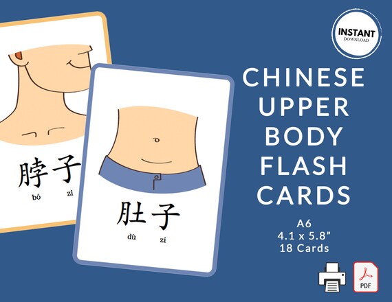 Chinese Upper Body Flash Cards Printable Mandarin Body Parts - Etsy