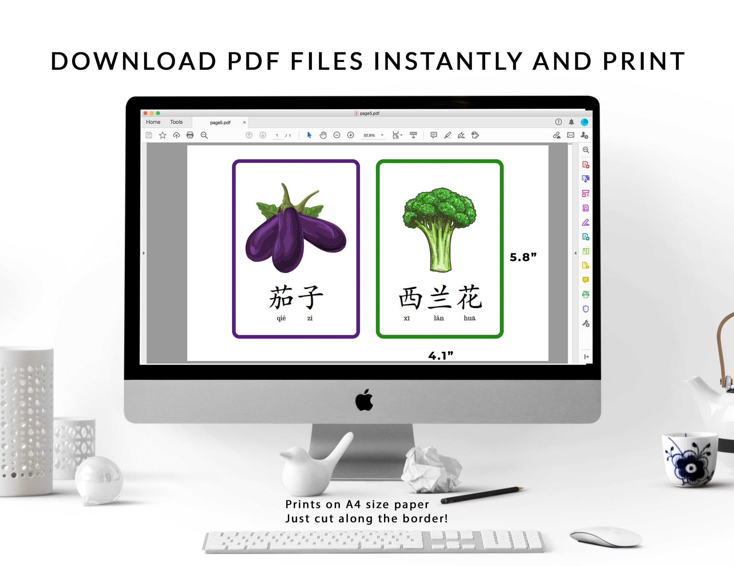 Chinese Vegetable Flashcards Simplified Mandarin Vegetable Flashcards ...