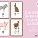 Chinese Animals Flashcards | Printable Simplified Mandarin Animal ...