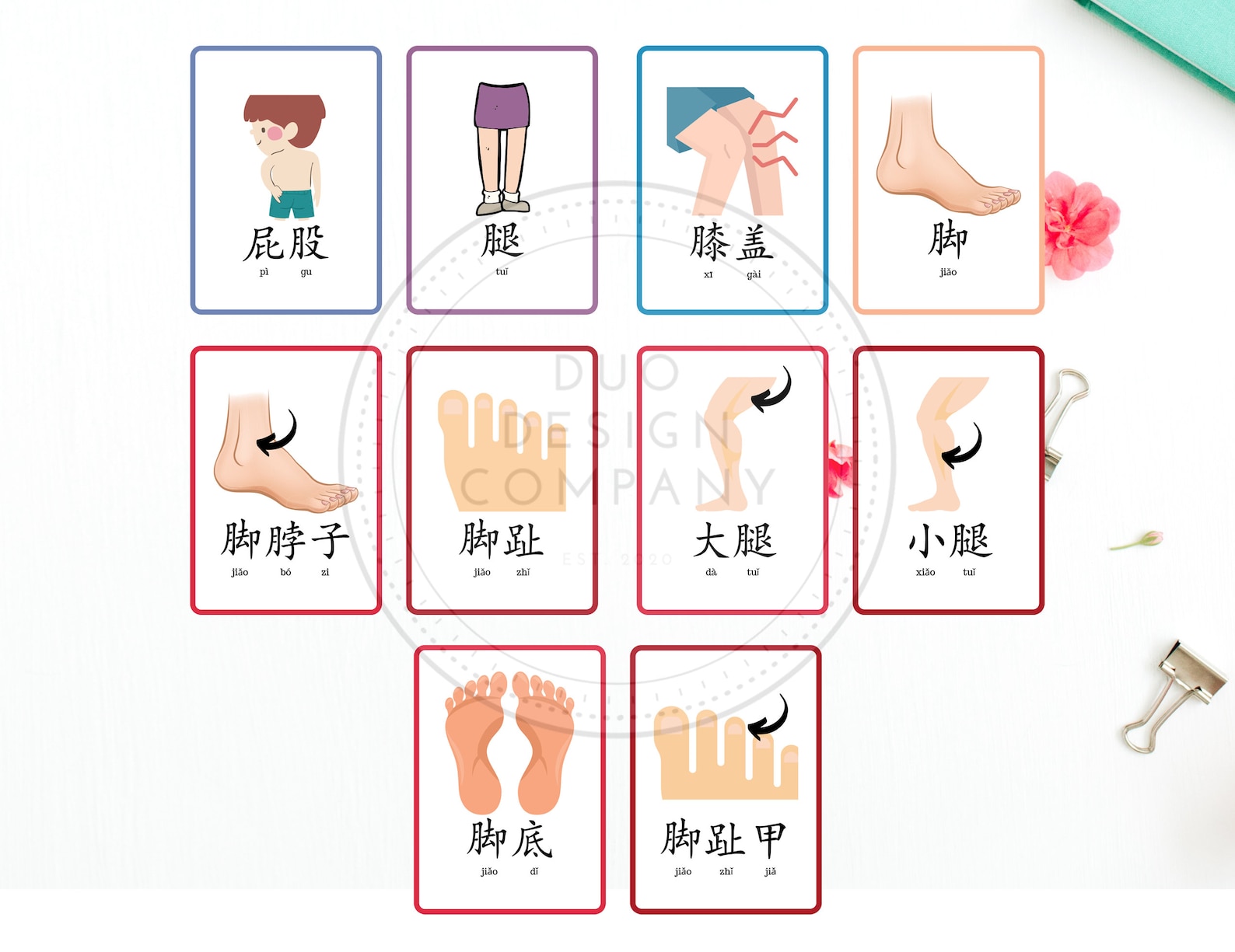 Schede flash per il corpo in cinese semplificato / Schede flash per la ...