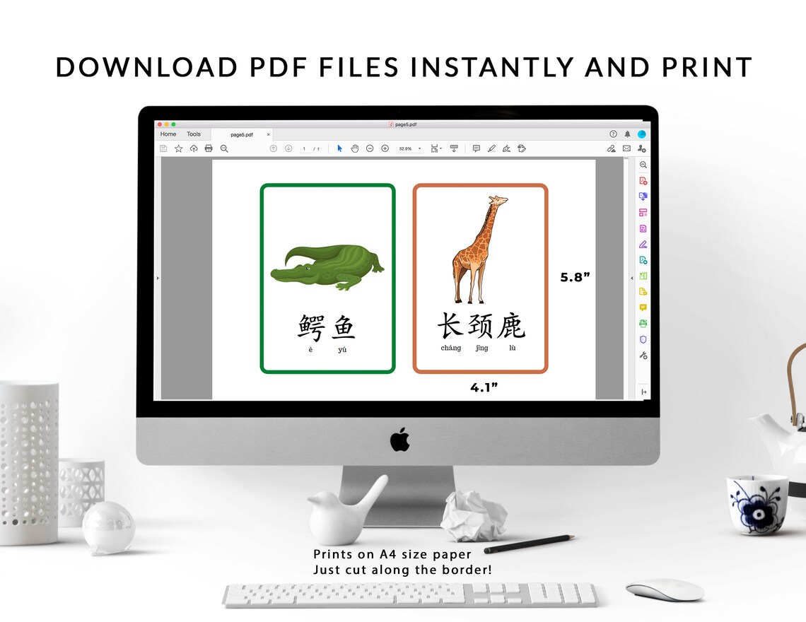 Chinese Animals Flashcards | Printable Simplified Mandarin Animal ...