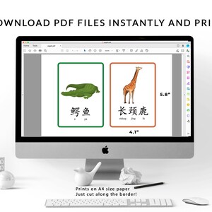 Chinese Animals Flashcards | Printable Simplified Mandarin Animal ...