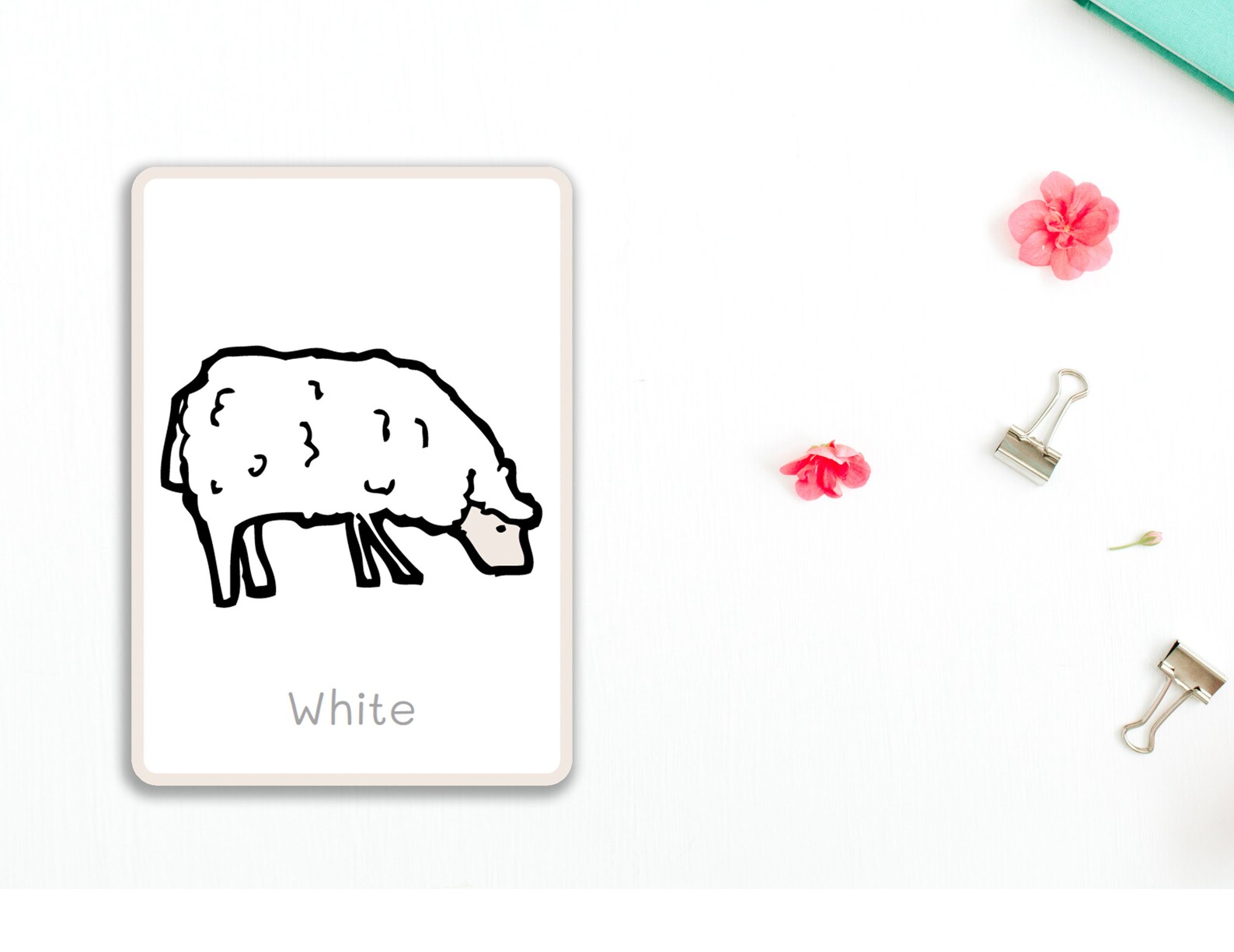 Printable Colour Flash Cards | 11 Animal Colour Flash Cards for ...