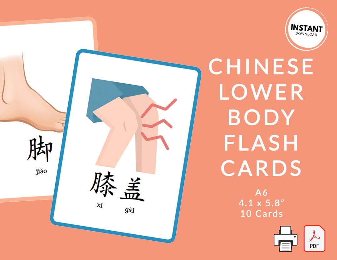 Schede flash per il corpo in cinese semplificato / Schede flash per la ...