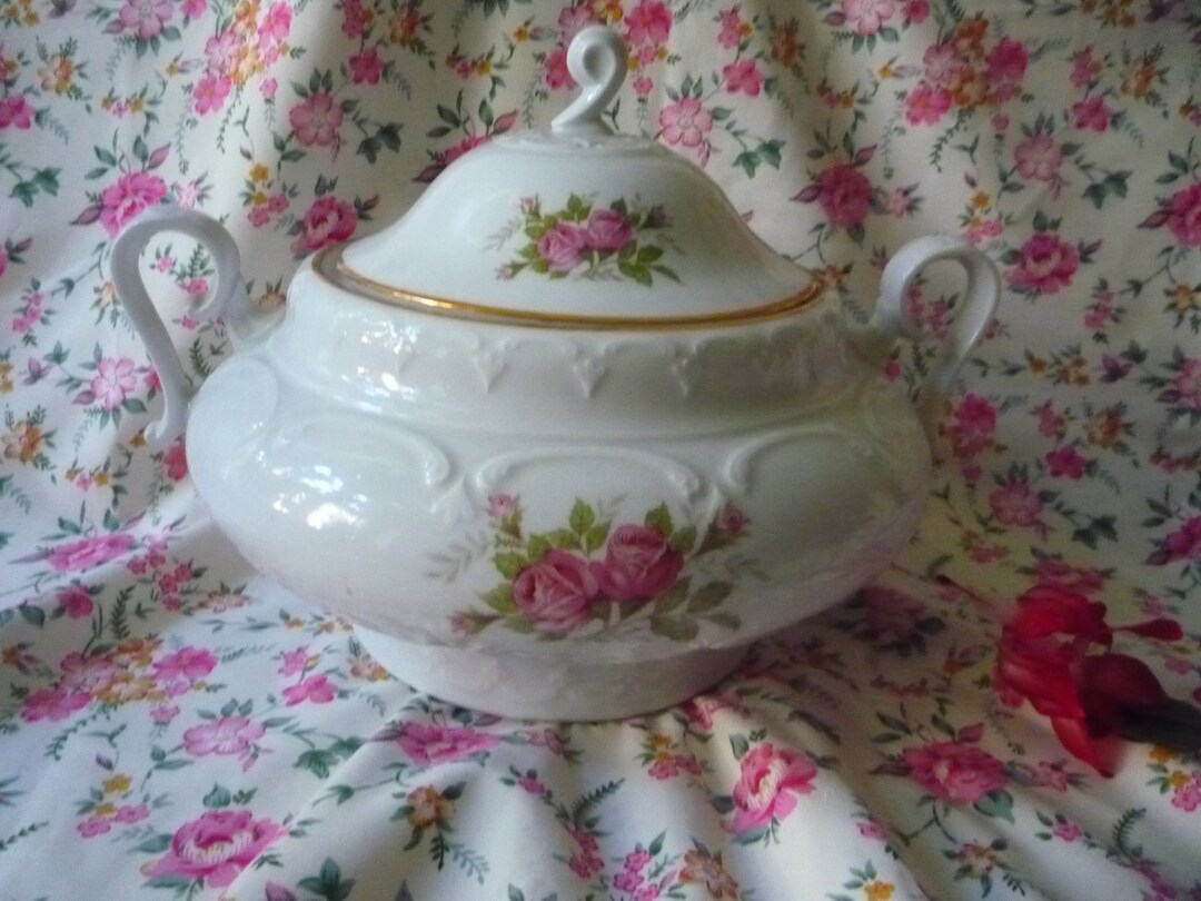 Big Old Soup Terrine From the 1970s Rose Pattern Soup Bowl - Etsy