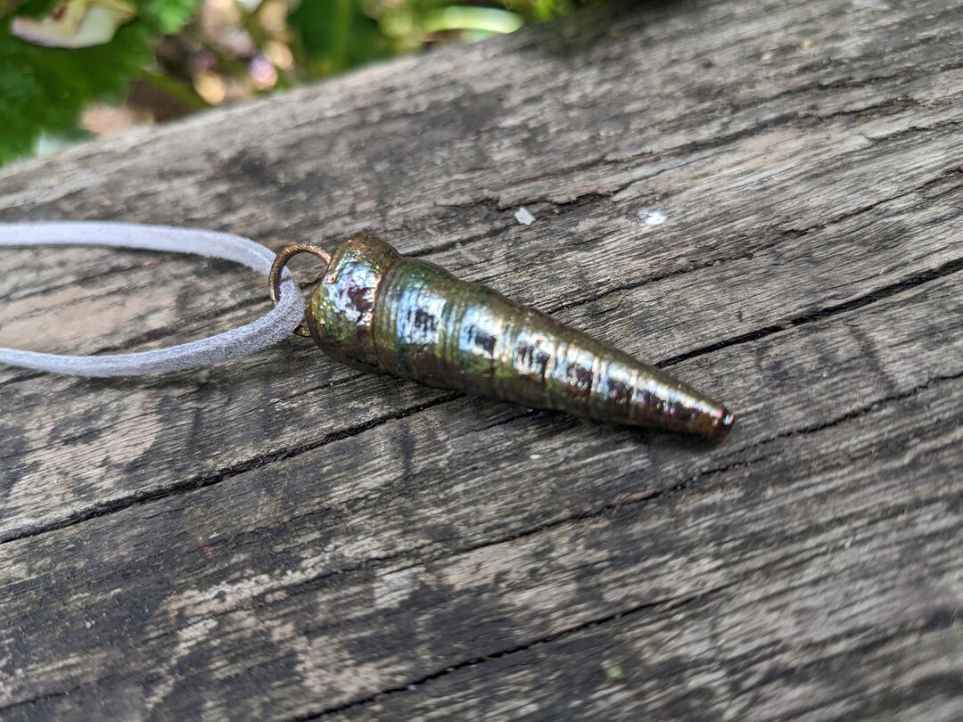 Real Auger Shell Electroformed in Copper. Real Shell Copper Pendant ...