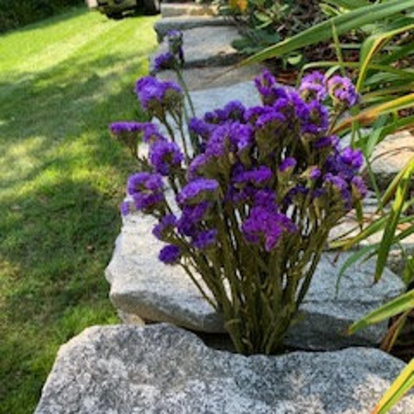 Purple Dried Flower - Etsy