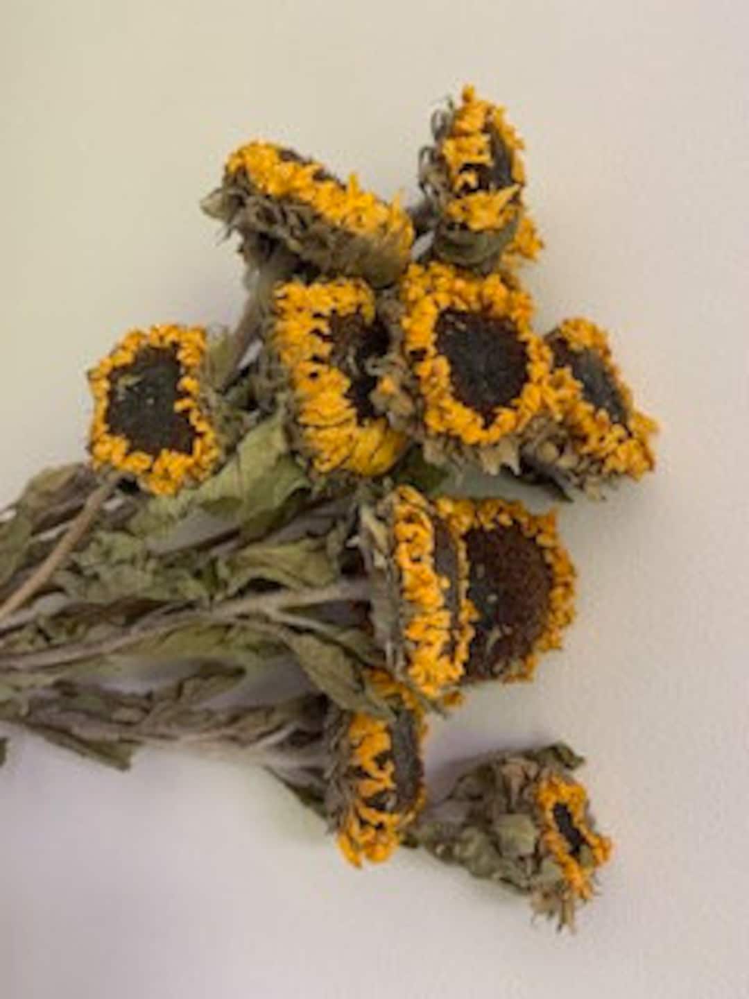 Dried Sunflowers, Fall Flowers, Wedding Flowers, Flowers for the Home ...