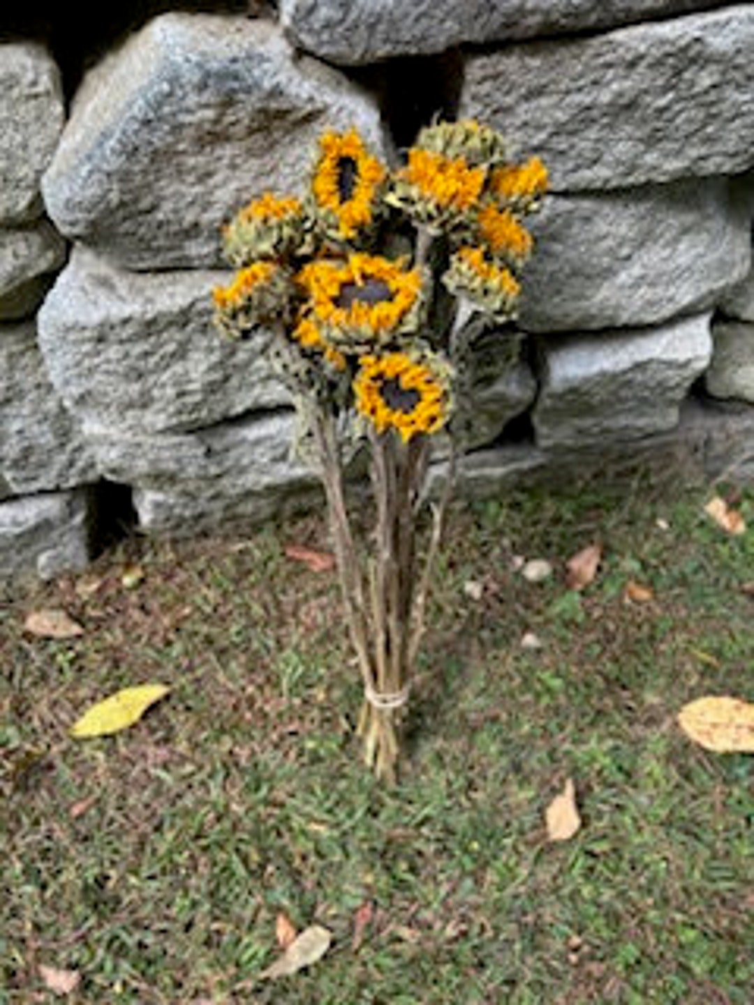 Dried Sunflowers, Fall Flowers, Wedding Flowers, Flowers for the Home ...