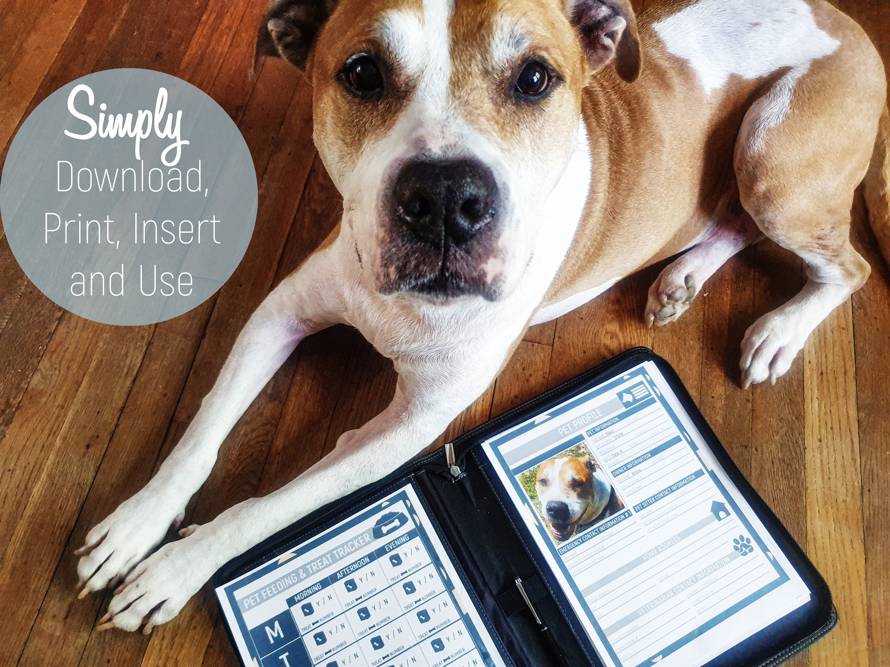 Dog Pet Care Planner | Binder | Organizer | Record Keeper (editable) - Etsy