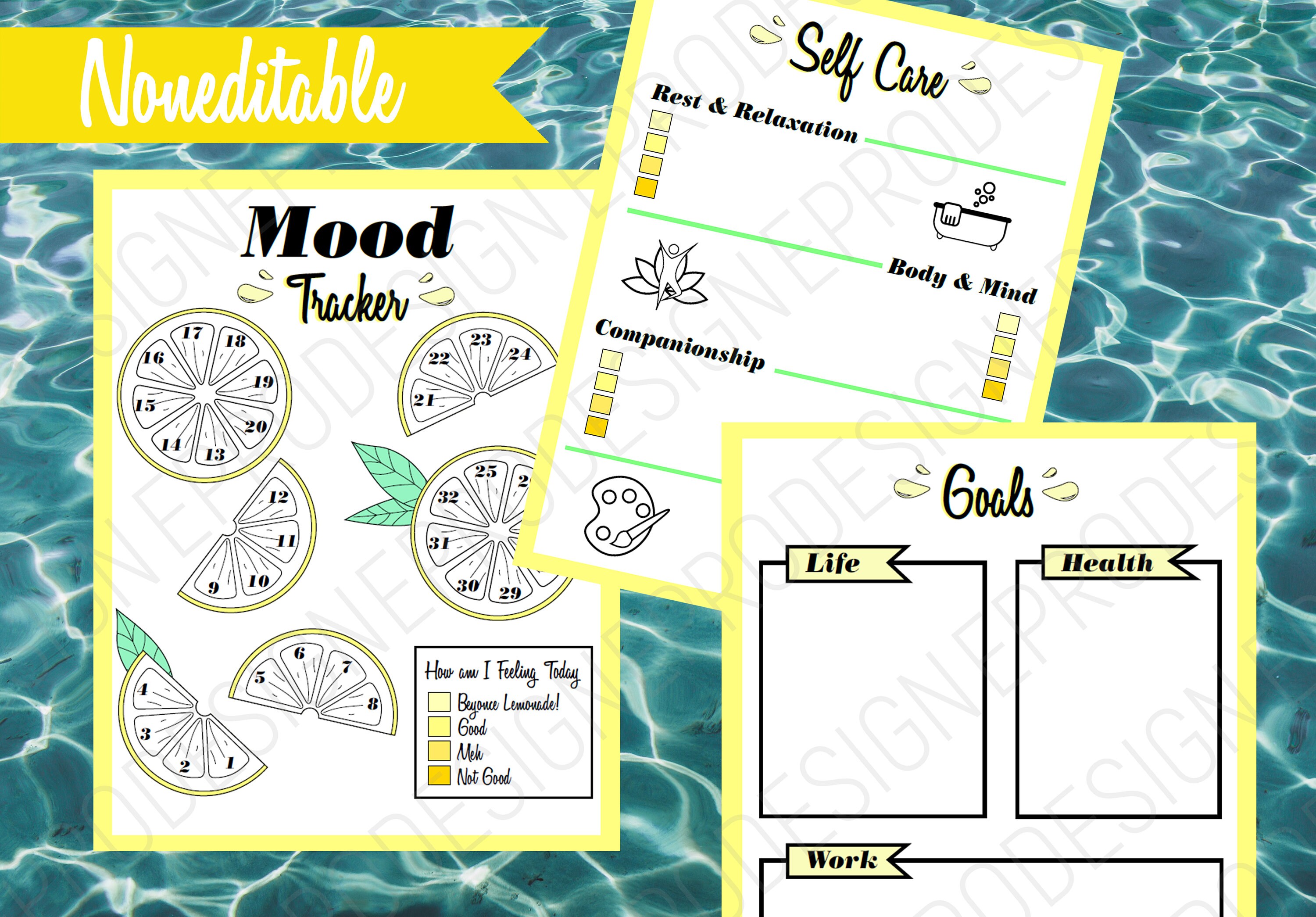 Summer Self Care Planner | Binder | Organizer | Record Keeper (non ...