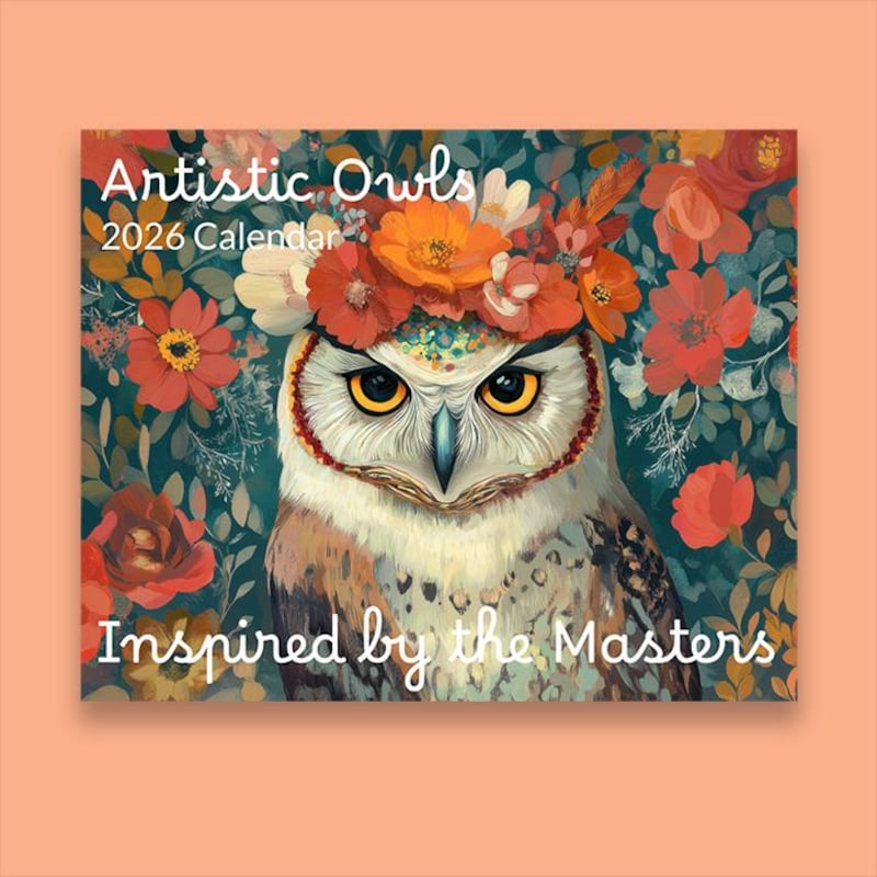 Owls 2026 Calendar - Etsy