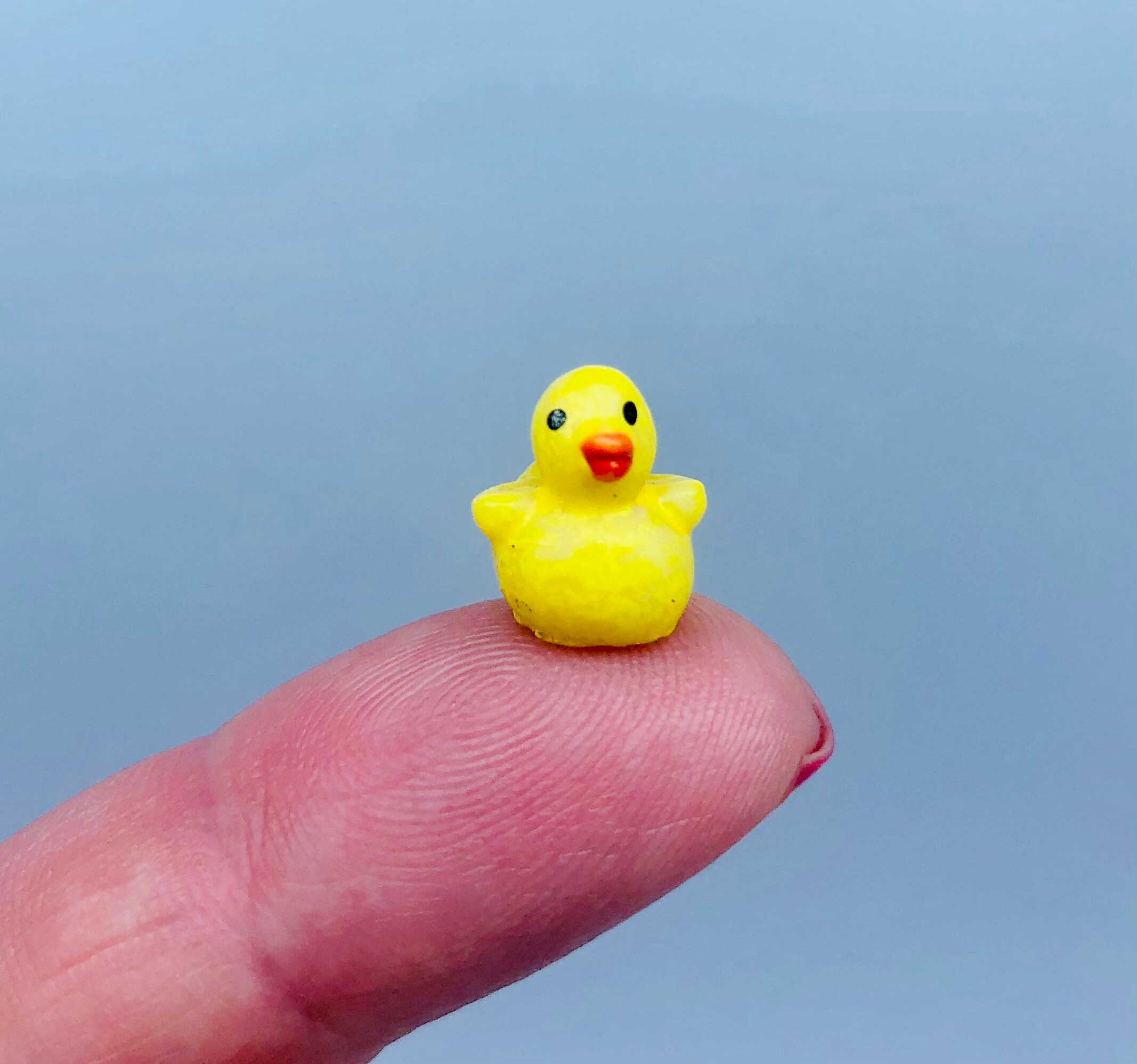 Miniature Pet Ducks
