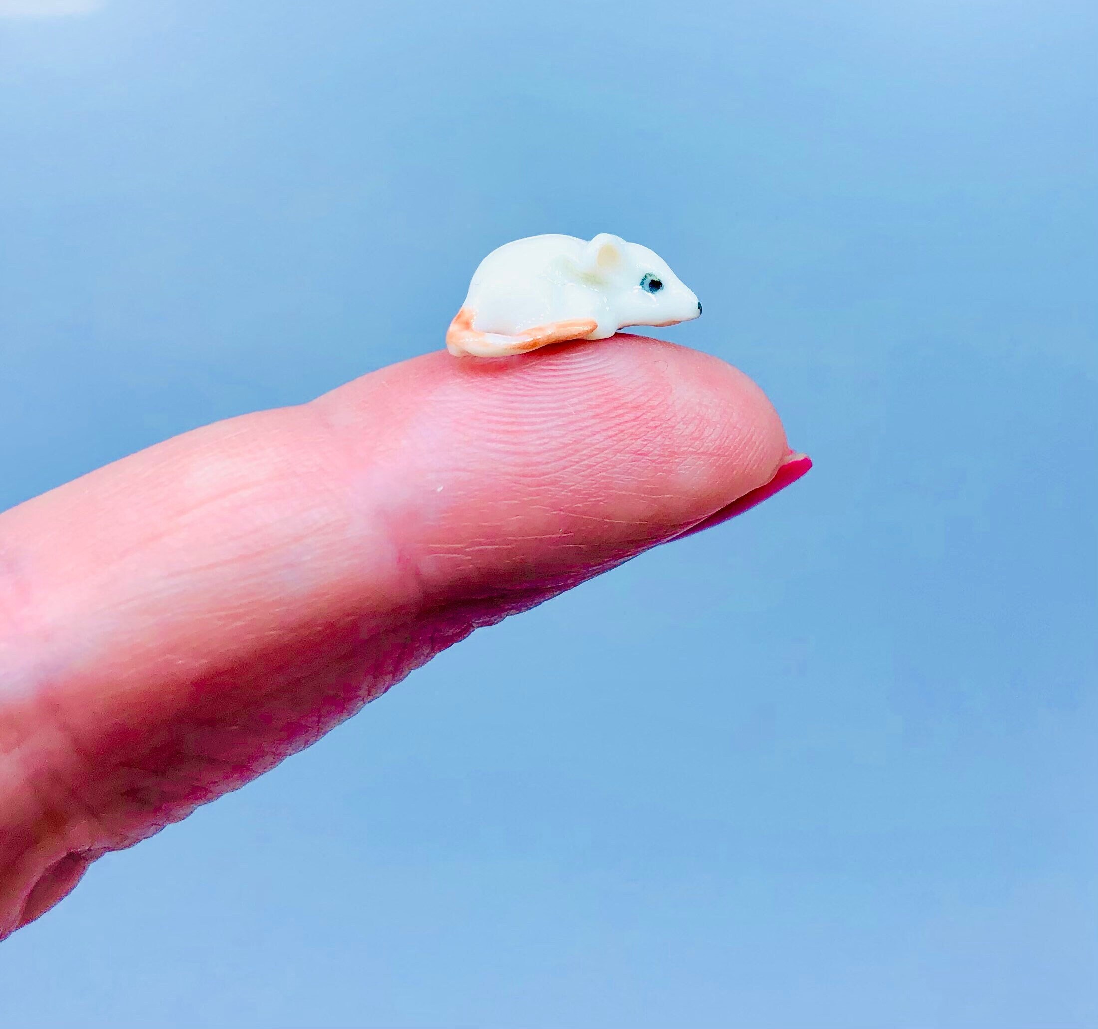 Smallest Mouse In The World