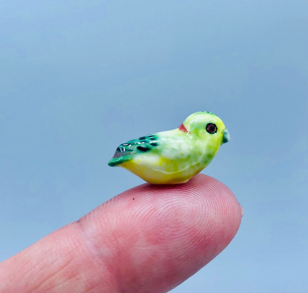 Miniature Ceramic Bird Parakeet Parrot Fairy Garden Gift - Etsy