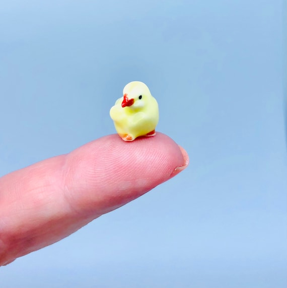 Smallest Chick In The World