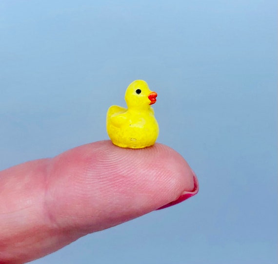 Miniature Pet Ducks