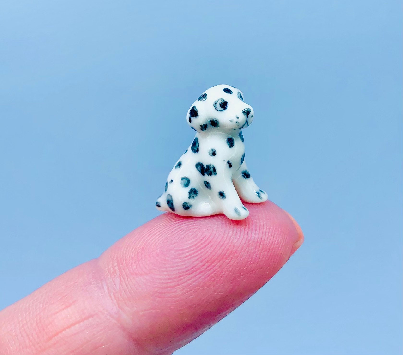Miniature Dalmatian Puppy