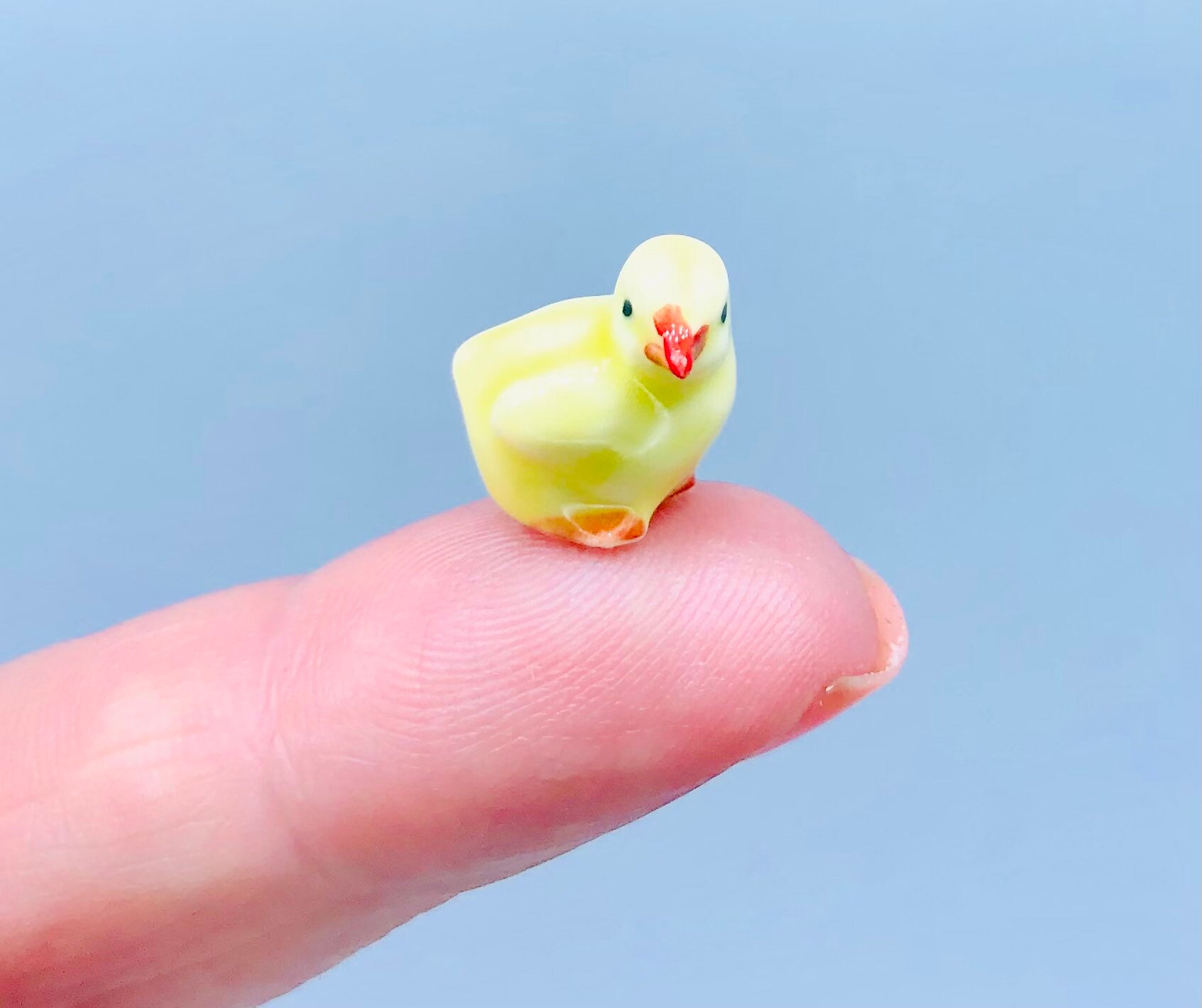 Smallest Chick In The World