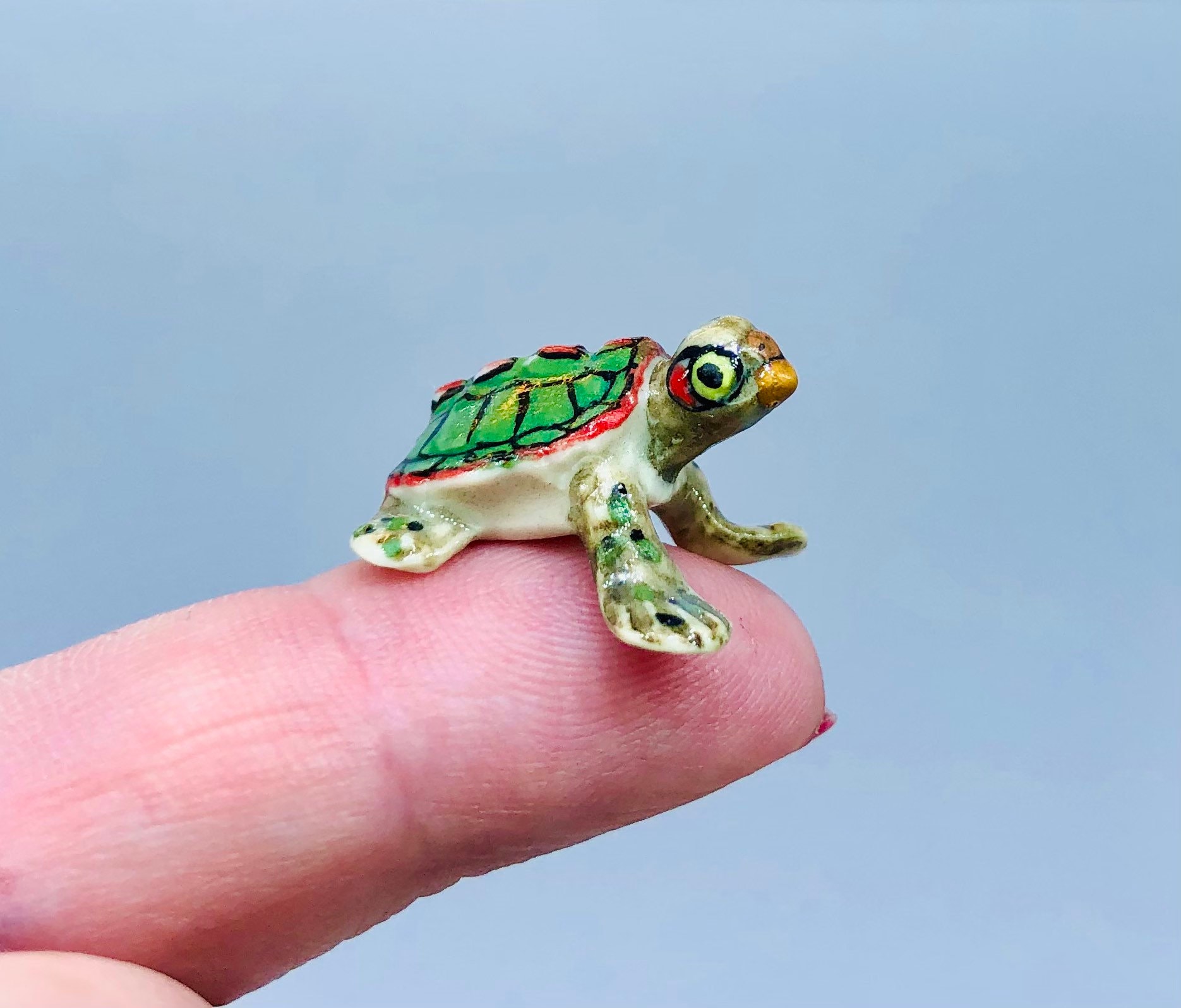 Smallest Turtle In The World