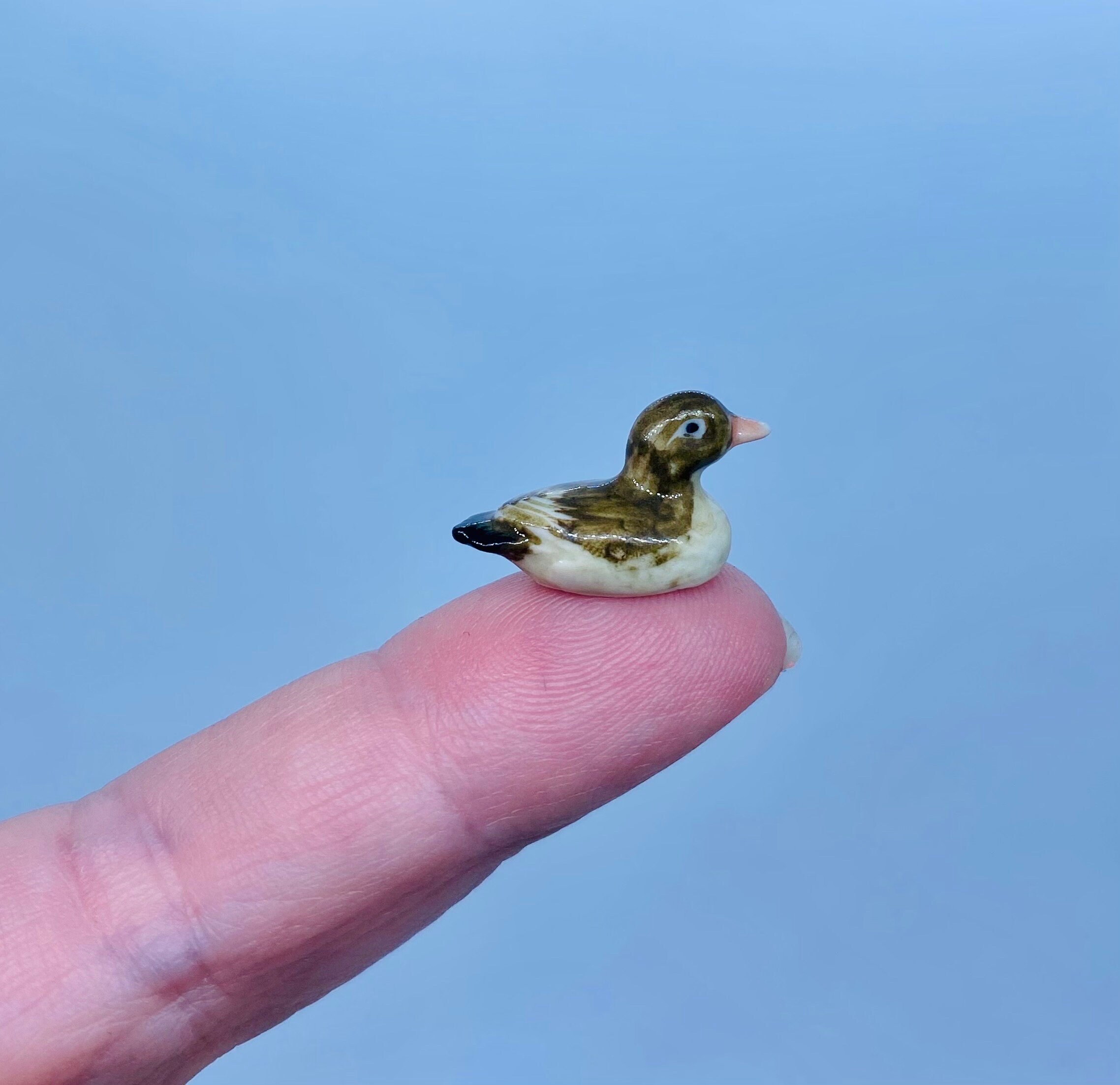 Smallest Duck In The World
