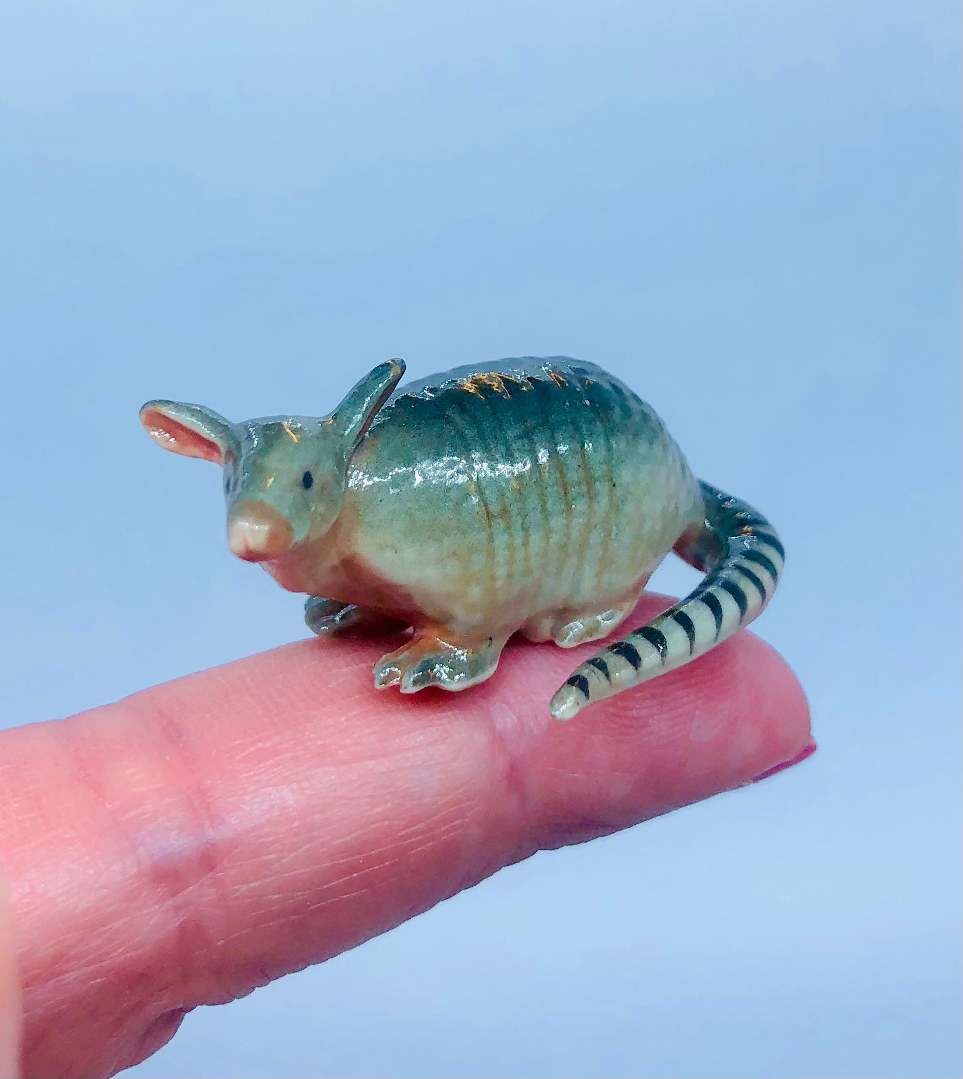 Cute Armadillo